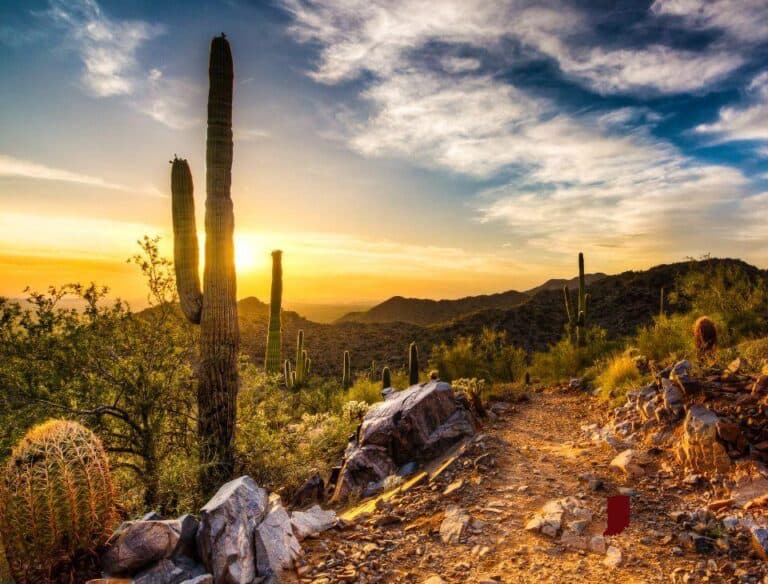 Trusted Arizona Insurance Agency: Coverage You Can Rely On